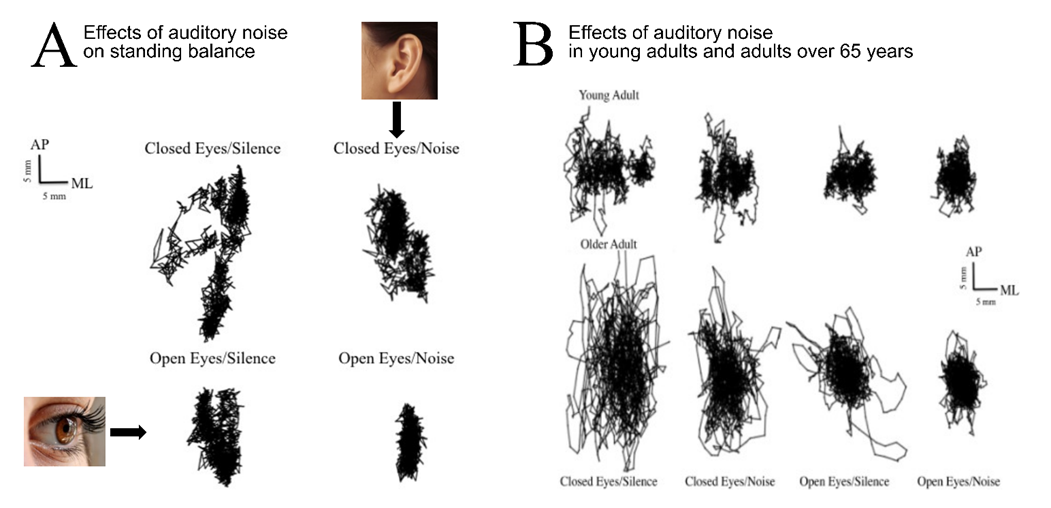 Sound and Balance | Jessica M. Ross, Ph.D.